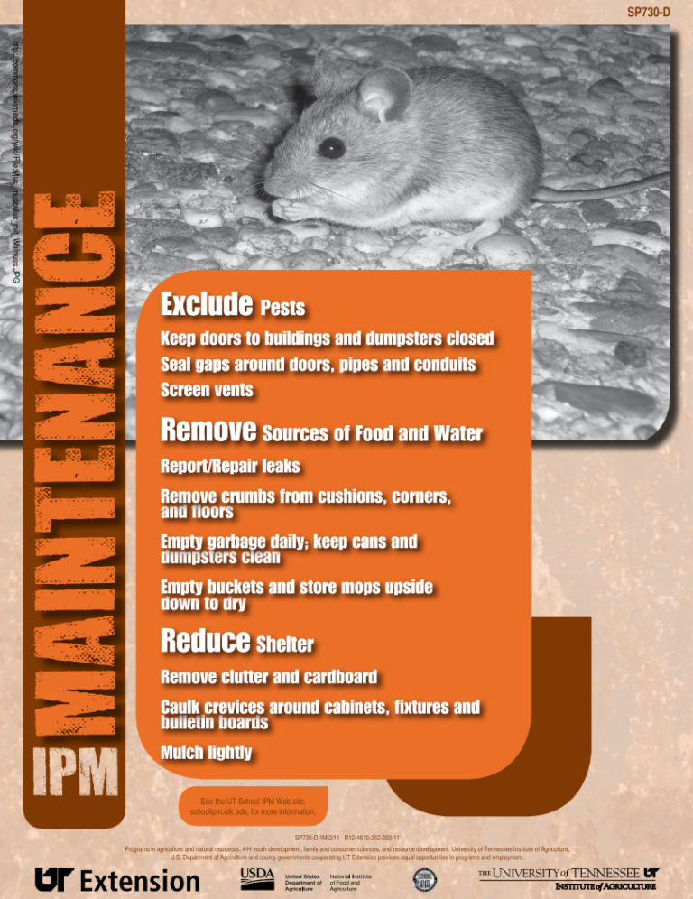 IPM Roles | Child-Serving Facility IPM